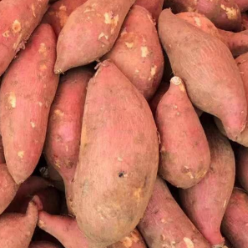 pig:↥ ↥ ↥ 点击关注更新，基于 Spring Cloud 2025、Spring Boot 3.5、 OAuth2 的 RBAC 权限管理系统 - AtomGit | GitCode